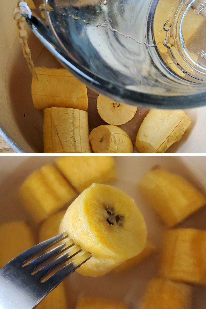 Healthy Tostone Recipe - Style & Stewardship